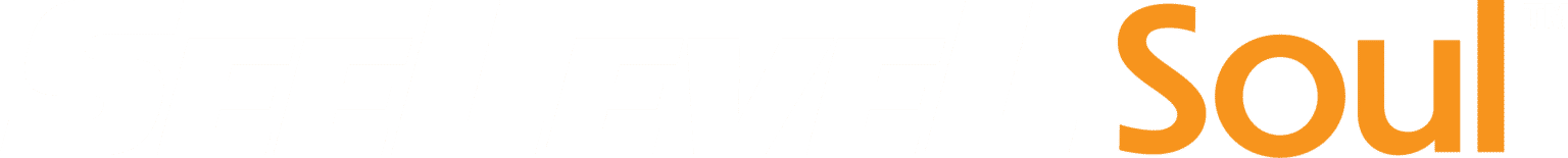 SeeLeveL Soul – Garnet Instruments