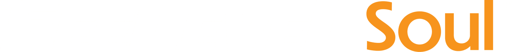 SeeLeveL Soul – Garnet Instruments